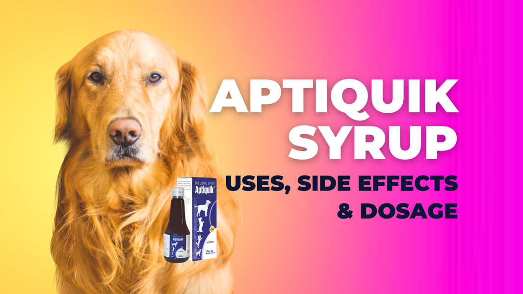 Aptiquik Syrup: Uses, Benefits, and Safety Guide for Your Pet's Health