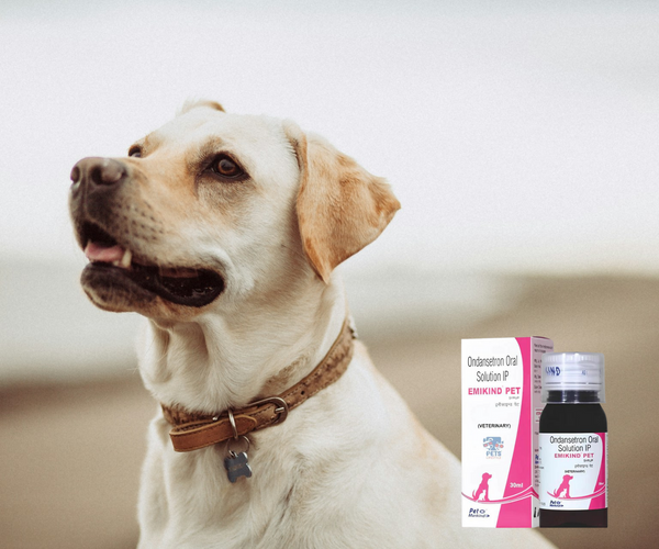 Soothing Your Pet's Discomfort: How Mankind Emikind Pet Syrup Provides ...
