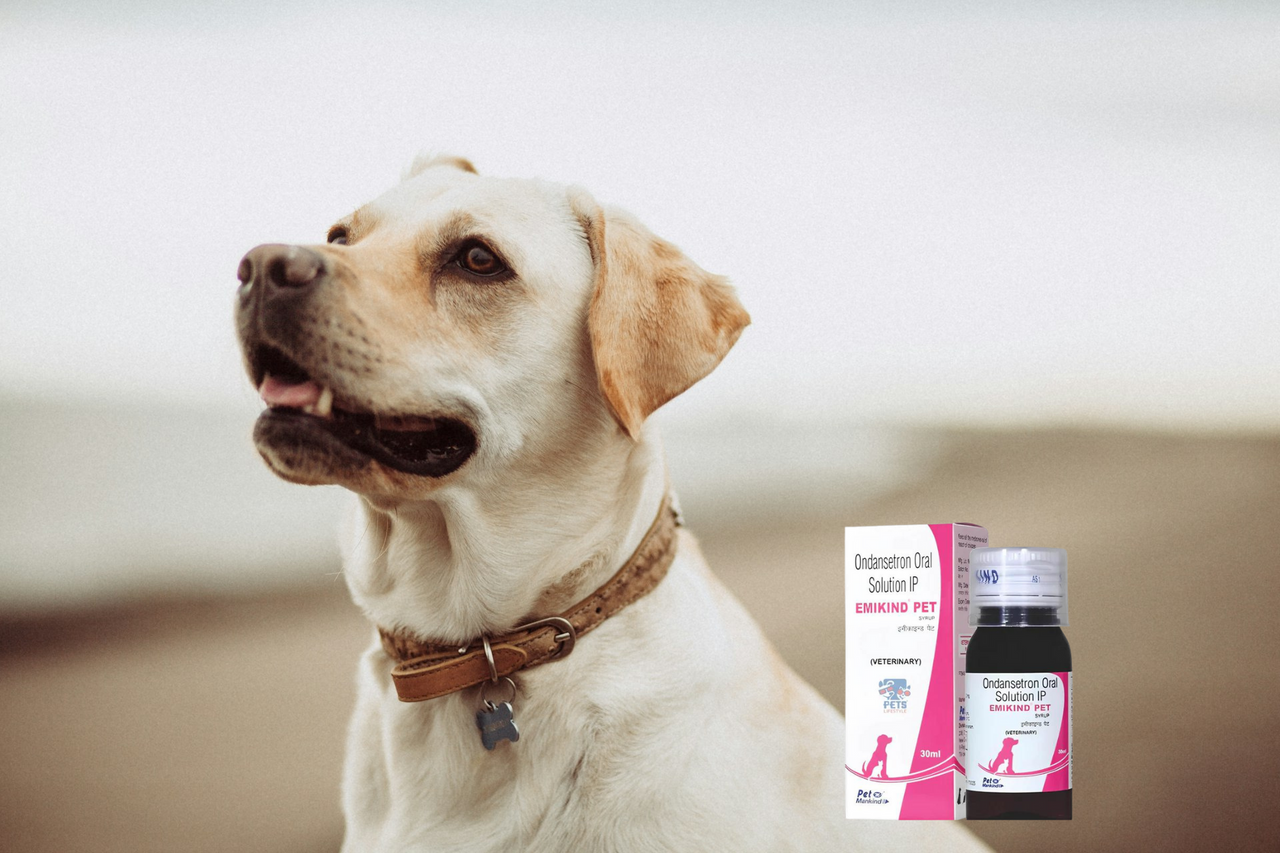 Soothing Your Pet's Discomfort: How Mankind Emikind Pet Syrup Provides ...
