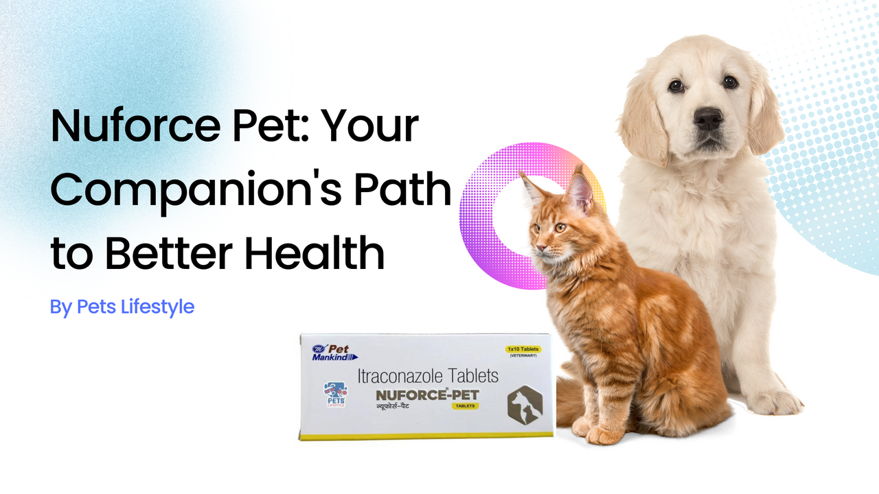 Nuforce Pet: Enhancing Your Pet's Health with Care | Pets Lifestyle