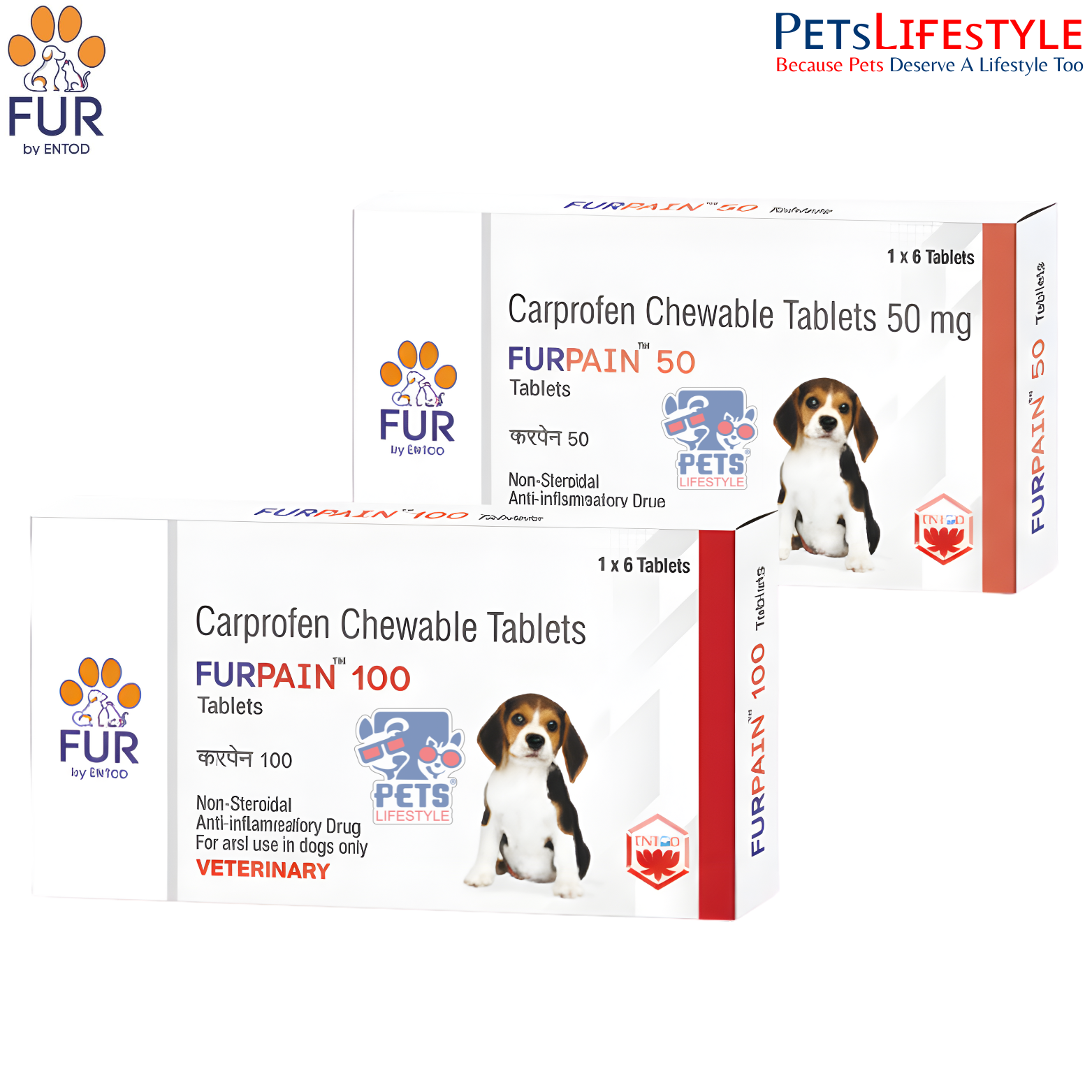 FUR by Entod FURPAIN™ Tablets – Carprofen | Dog Medicine India