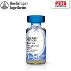 RECOMBITEK C4 (rDAPP)Canine Vaccine 4in1 Distemper + Parvo + Adeno + P