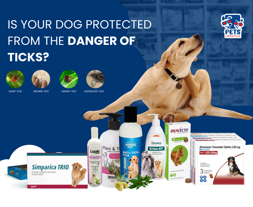 Pets Lifestyle: Online Pet Store, Shop Pet Supplies and Products